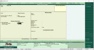 How to enter HSN Code in Tally ERP 9 Release 6